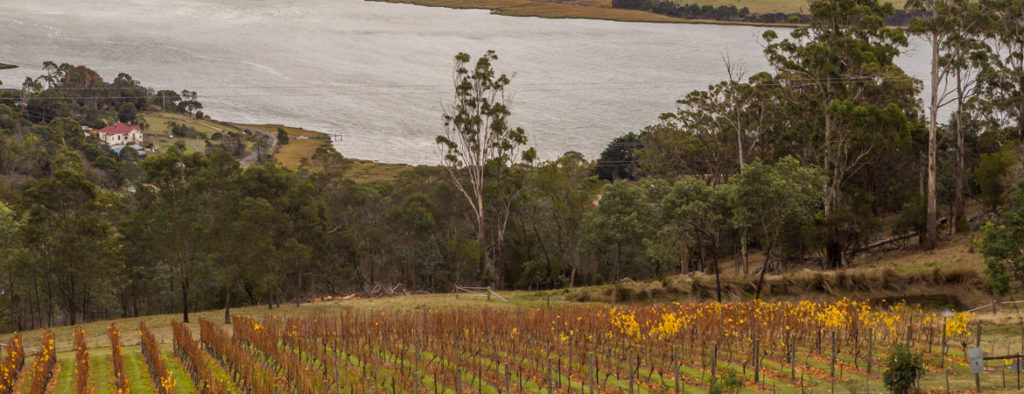 Understanding Tasmania’s climate sensitivities and information needs ...